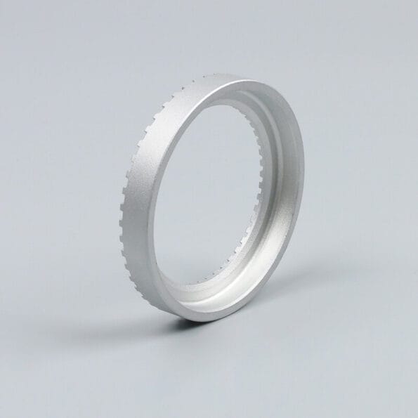 Powder Metallurgy ABS Ring Supplier